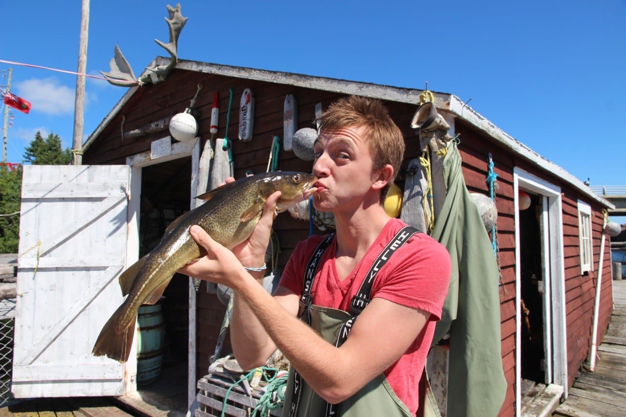 Cod Jigging (Fishing) at Prime Berth in Newfoundland, Canada.